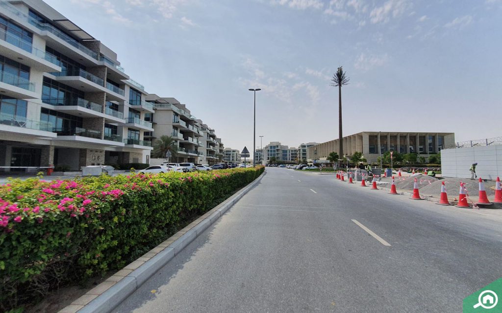 Meydan Avenue Area Guide | Bayut