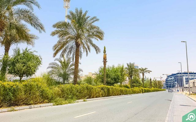 Jumeirah Village Circle (JVC) – Area & Community Guide » Bayut™