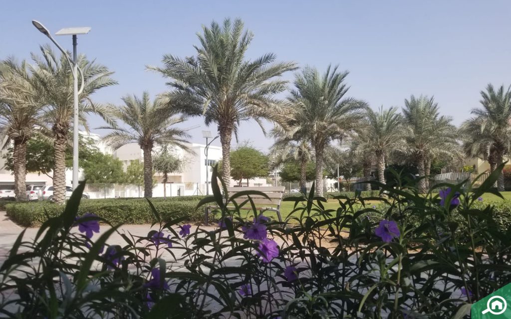 Al Amir Villas, JVC Area Guide | Bayut