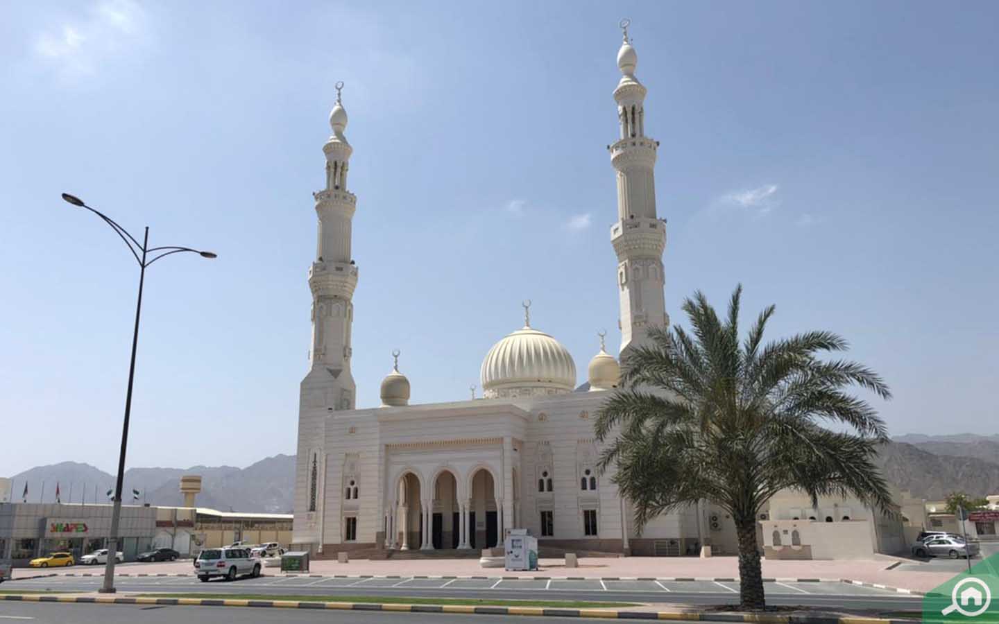 Khor Fakkan, Sharjah Area Guide | Bayut
