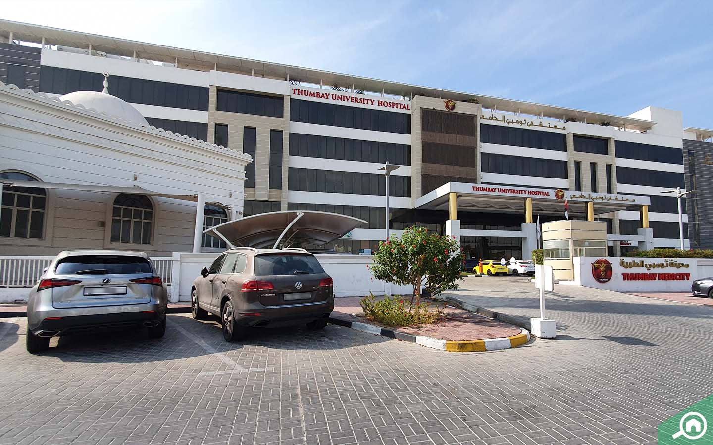 Al Jurf 1 Area Guide | Bayut