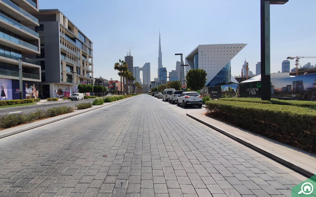 Al Wasl Road Area Guide | Bayut