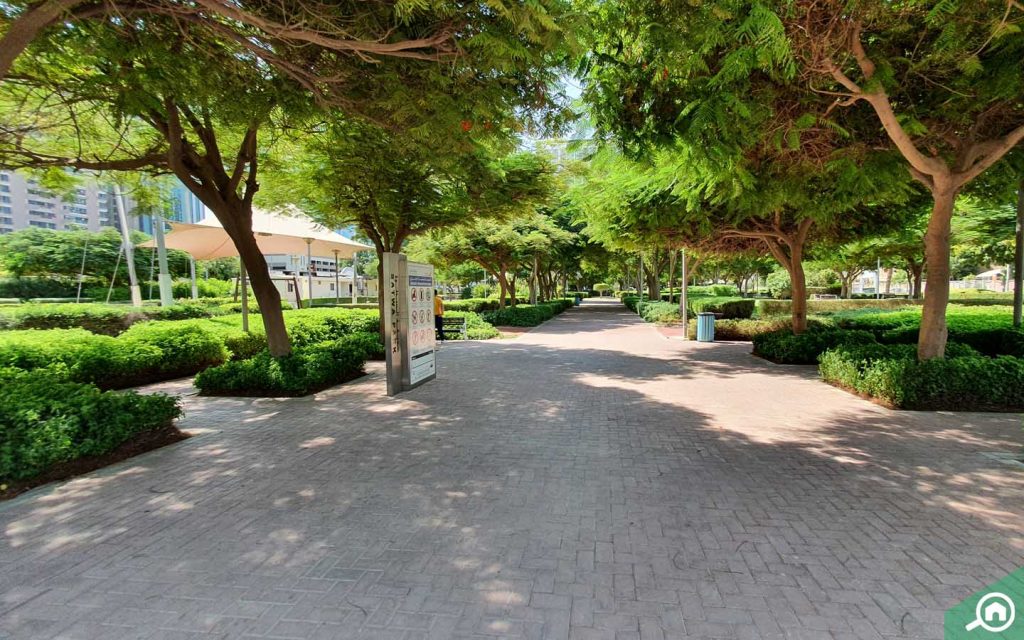 Al Wasl Road Area Guide | Bayut