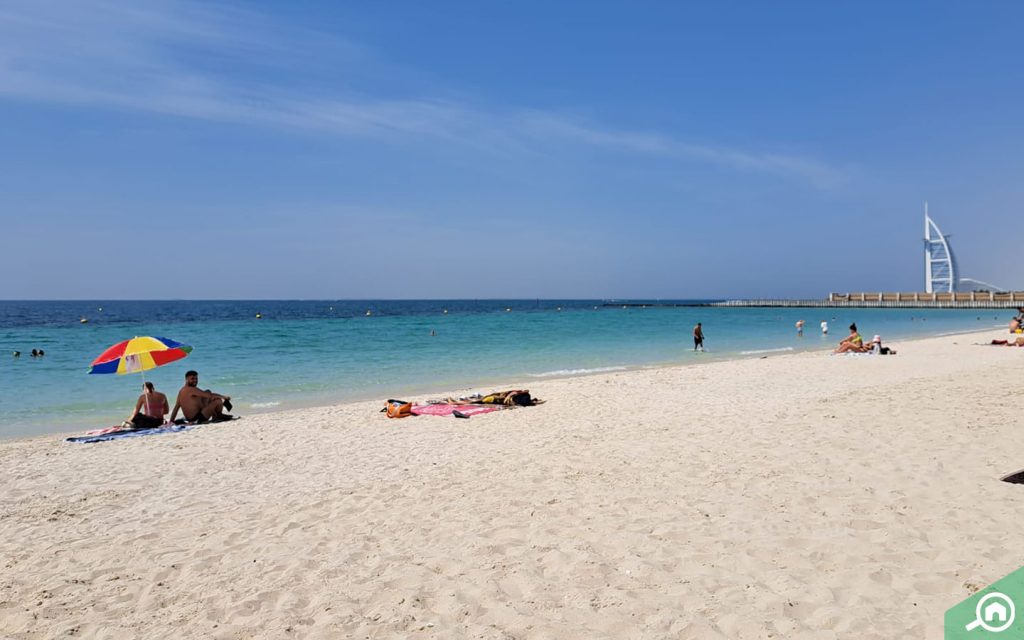 Al Sufouh 1 Area Guide | Bayut